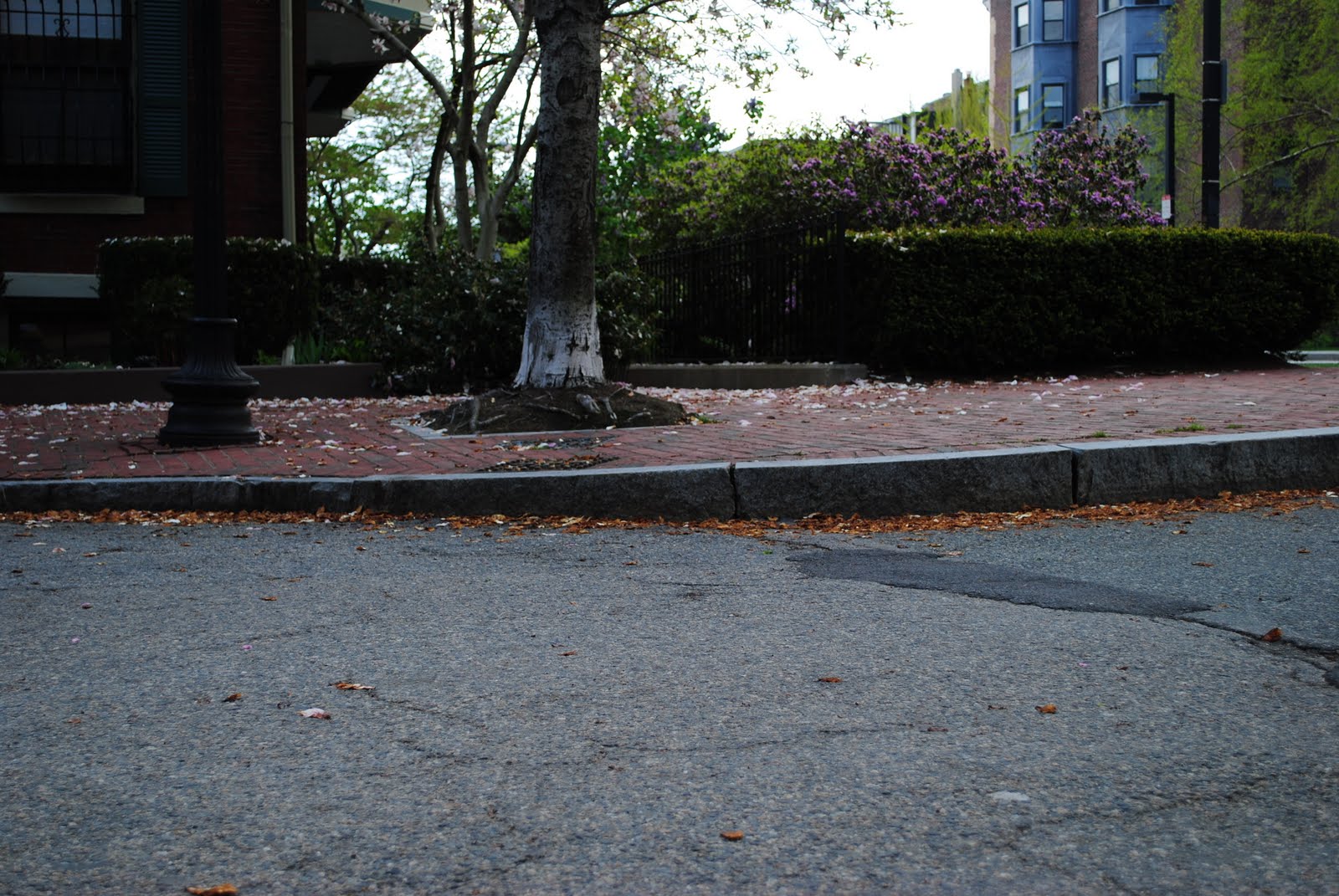 Calm Streets Boston: Narrow roadway with high curbs to prevent parked ...