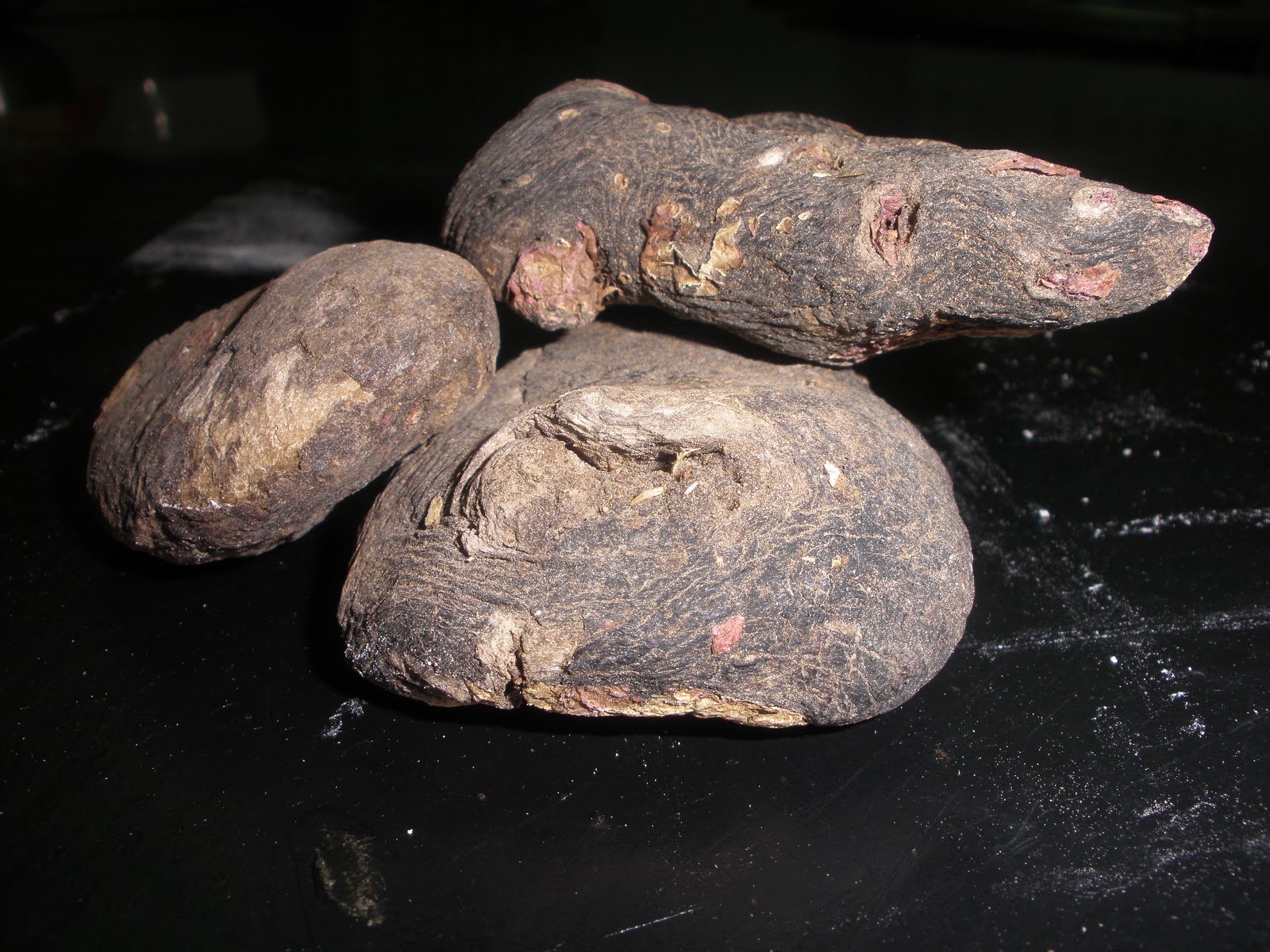 Galicia Gastronomía y Más: Tunta y Chuño desde Bolivia a Galicia