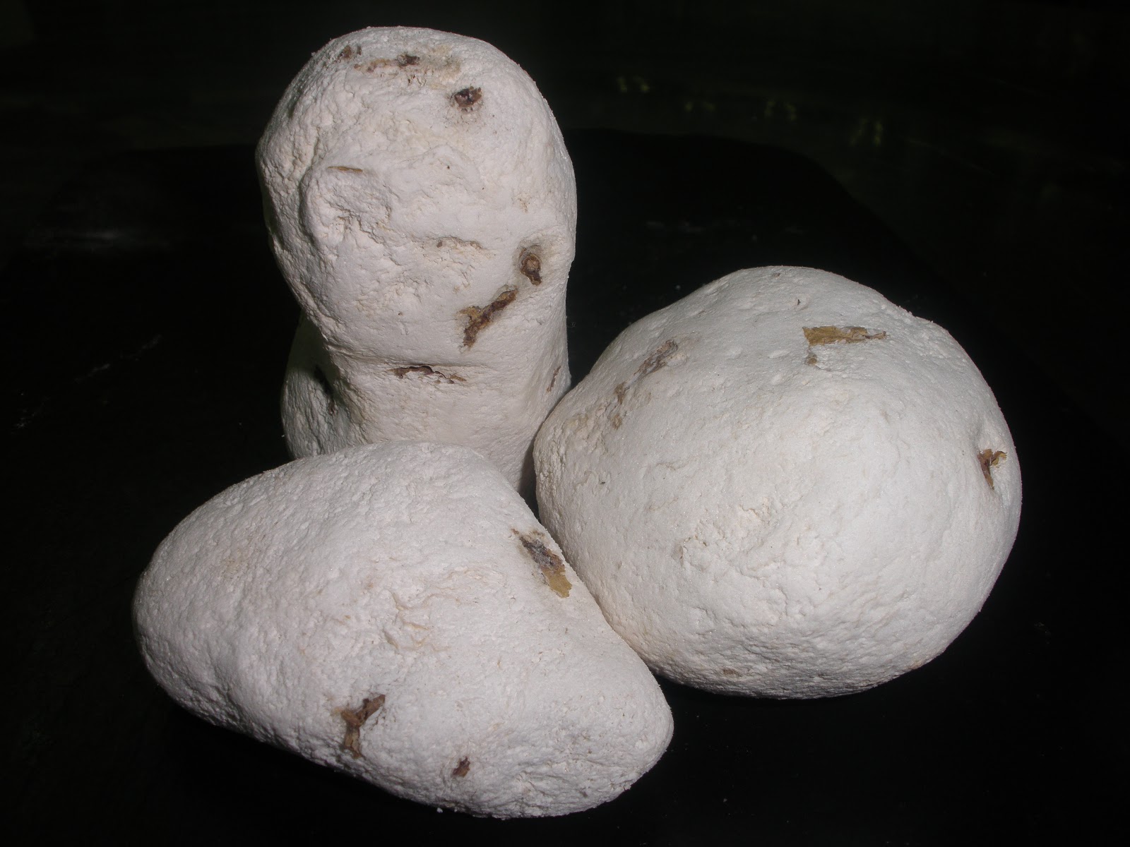 Galicia Gastronomía y Más: Tunta y Chuño desde Bolivia a Galicia