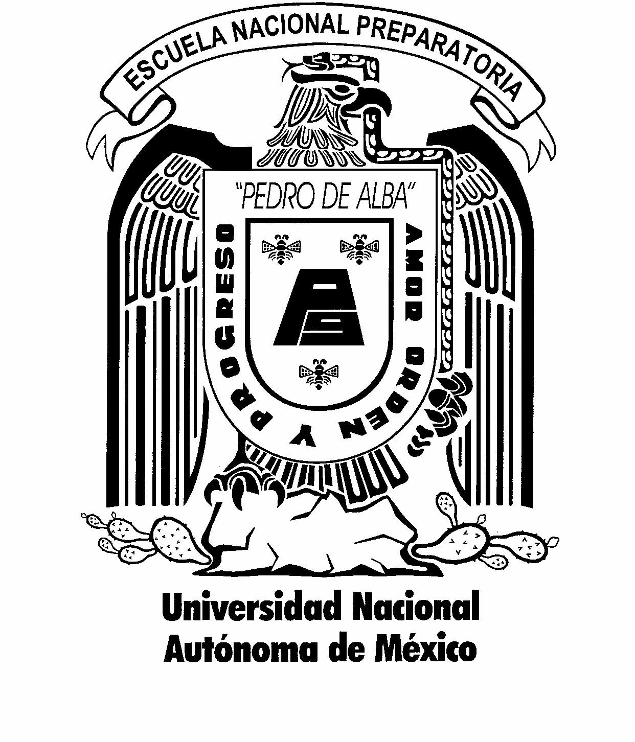 ¡Preparatoria 9 Equipo Morado 517!: Equipo Morado 517 Preparatoria 9