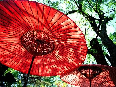 Wagasa ~ japancultpopbr