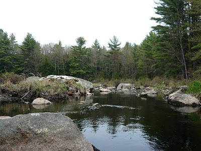 New Hampshire...Love it or Leaf it: Sportsmans Pond is a Hidden Gem