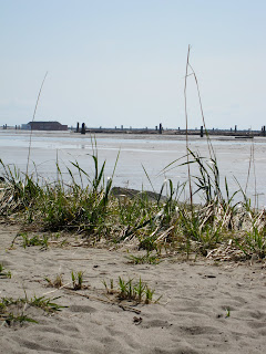 DebChaney: Breathing Space - South SIde UBC Wreck Beach