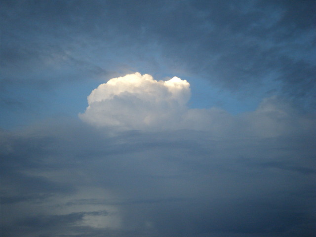 Evening sun on a cumulus top