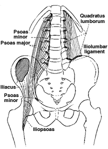 Embodied Being: Psoas secrets of low back pain