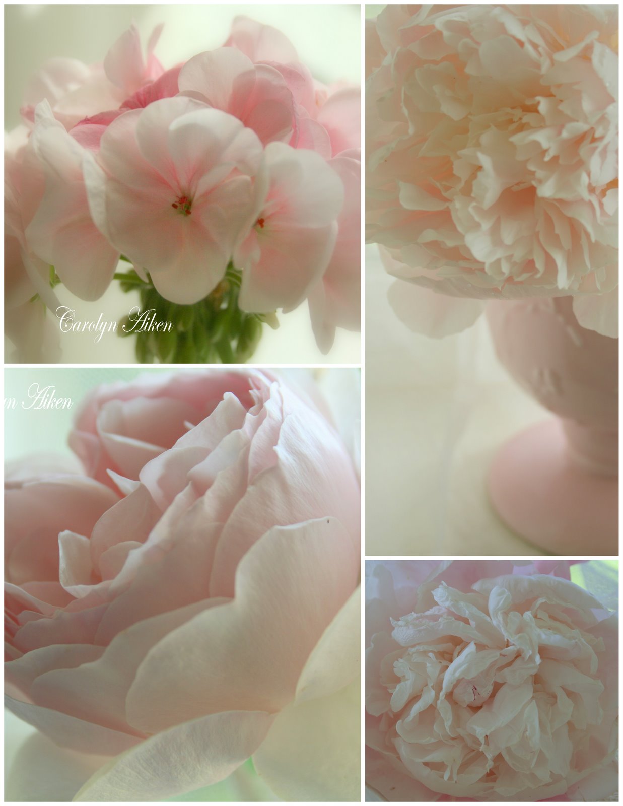 Aiken House & Gardens: Pink Saturday