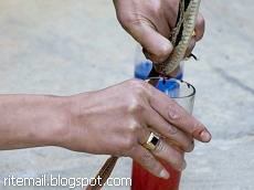 Fun Below Sun: World's Top 10 Most Disgusting Drinks