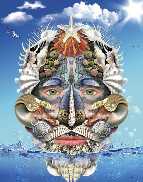 11 Seconds: Digital Portrait made of Shells