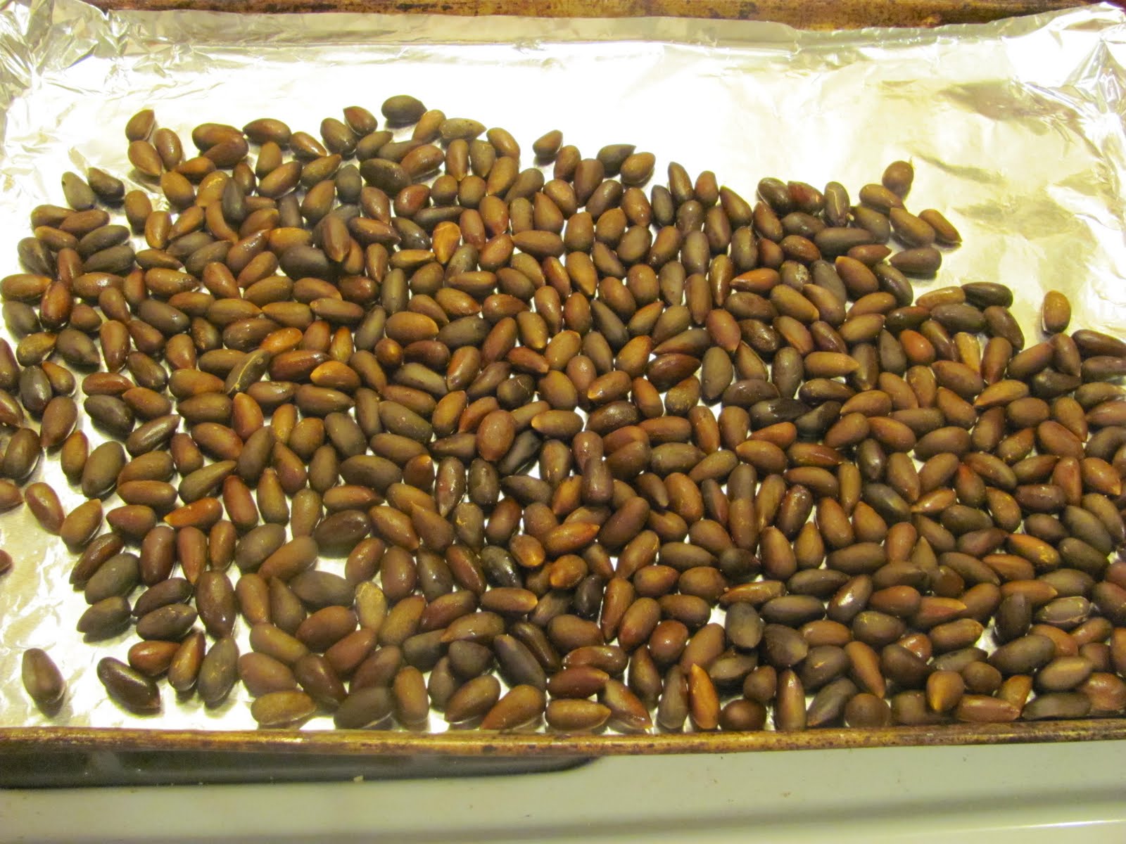 how to roast pine nuts in the shell