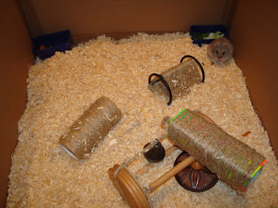 ANTI TOT: Casuta pentru soarece