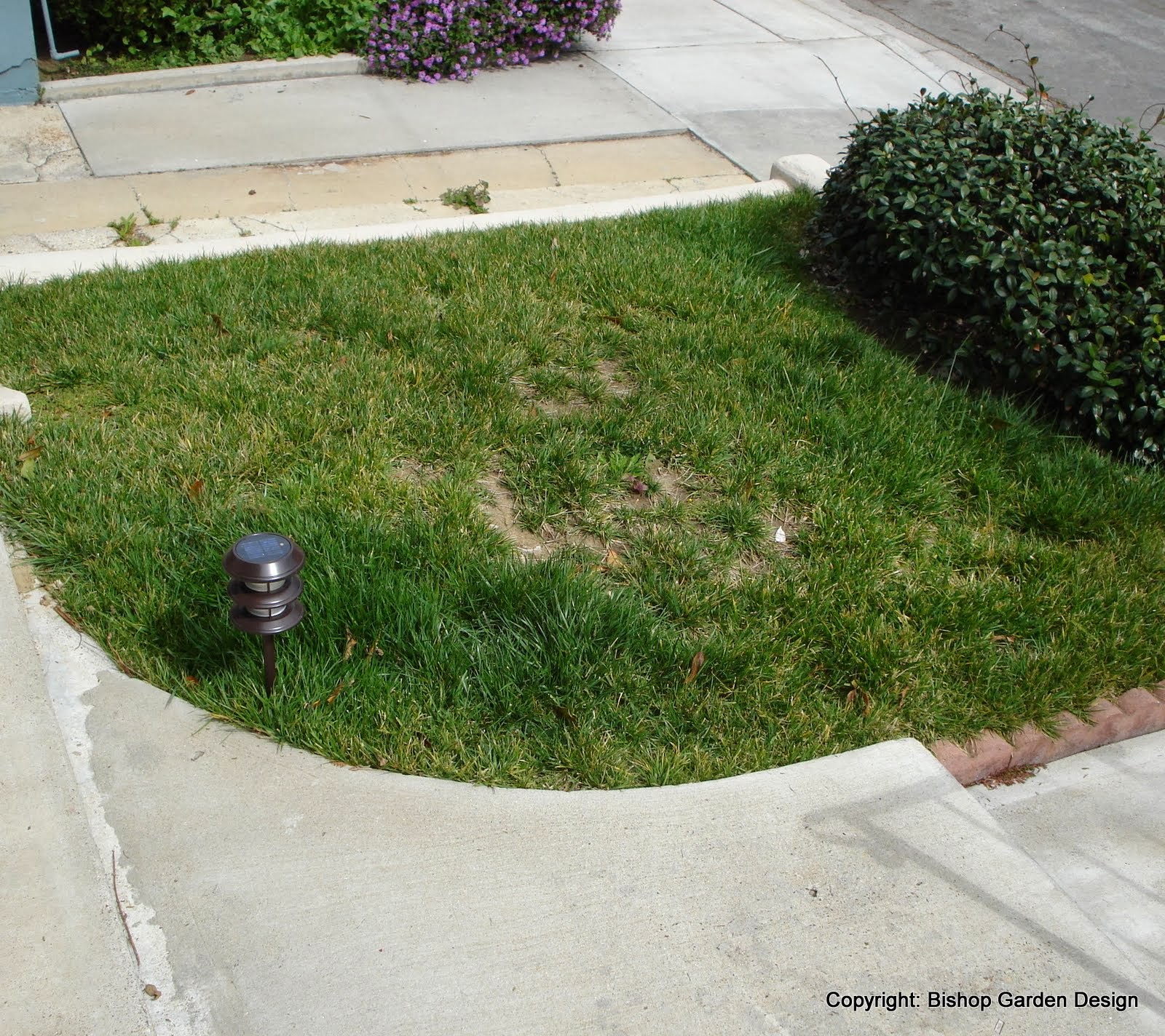 Bishop Garden Design - Portfolio: Front Lawn Replacement