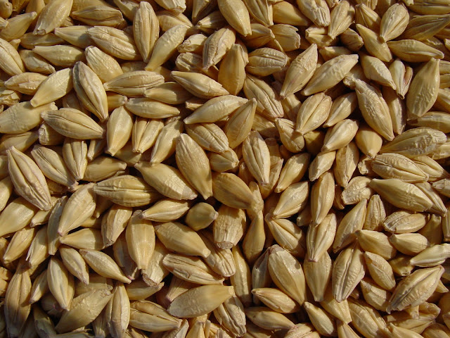 Joseph's Grainery: How To Cook Barley