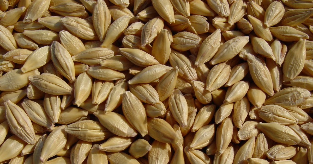 Joseph's Grainery: How To Cook Barley