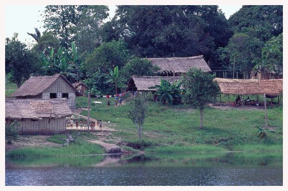 CURIOSIDADES E CULTURAS: CURIOSIDADES SOBRE A TRIBO SATERÉ-MAWÉ
