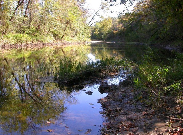 The Opulent Opossum: The Devil's Backbone, Boone County, Missouri