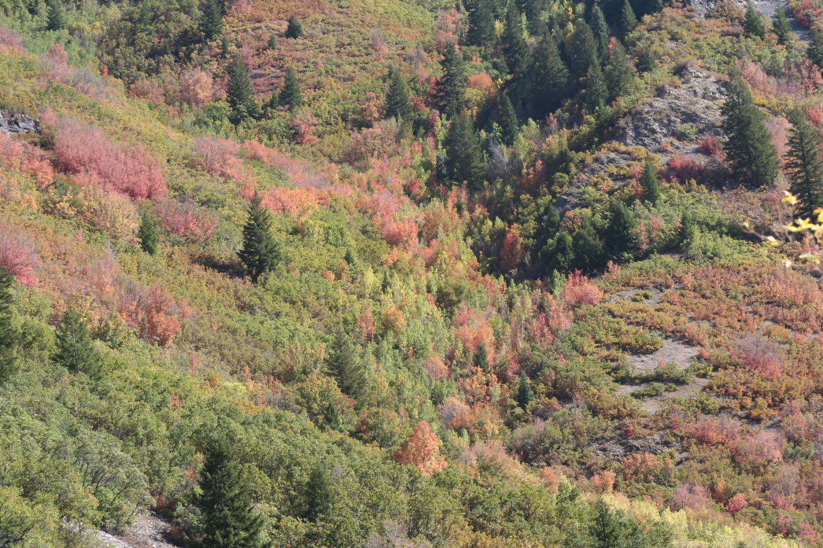 riedman trip: Provo Canyon, Lake Utah, Fort Bridger & No Platte River