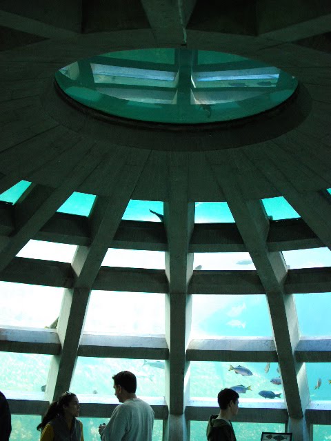 Al's Photography Blog: Scenic Sunday - Seattle Aquarium