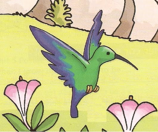 English class NSG: Examples and exercises