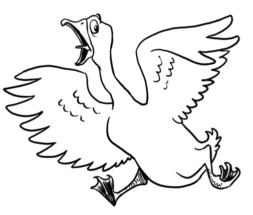 illustrator: Cărţi pentru copii / children books