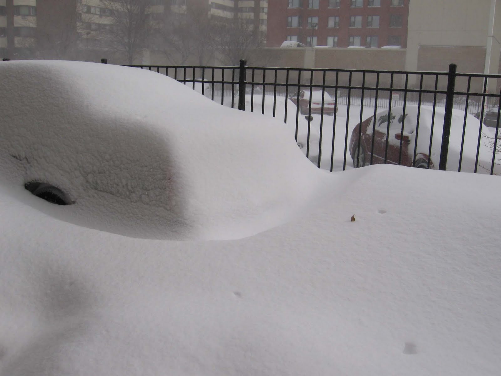 It's All About the Pretty