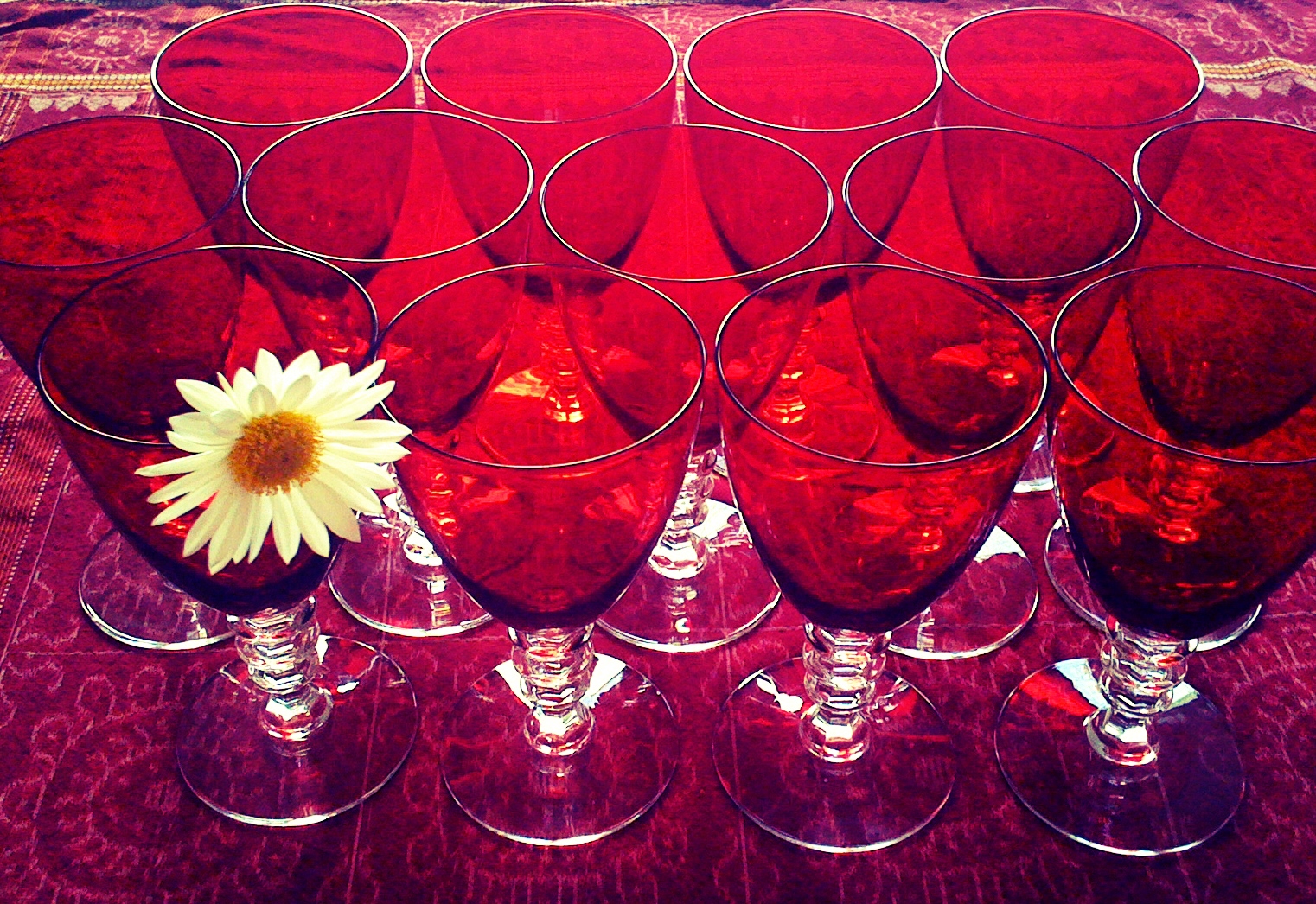 Roxie's World: Rose-Colored Glasses