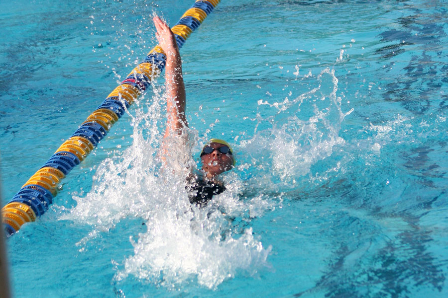 Southern California Aquatics SCAQ Swim Club: More photos of Chloe ...