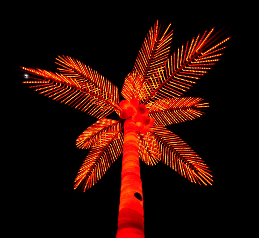 denMAR Photoblog - A Casual Photoblog by Dennis Marciniak: Electric ...