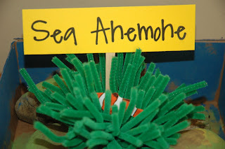 Nilsen Nuthouse: Claire's 1st science fair