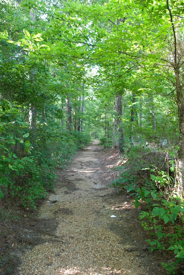 60 Meetings in 60 Days in 60 Places: Tracing Mississippi