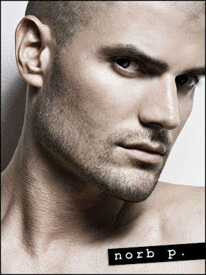 zephyr-files: 11/2/08 - 11/9/08