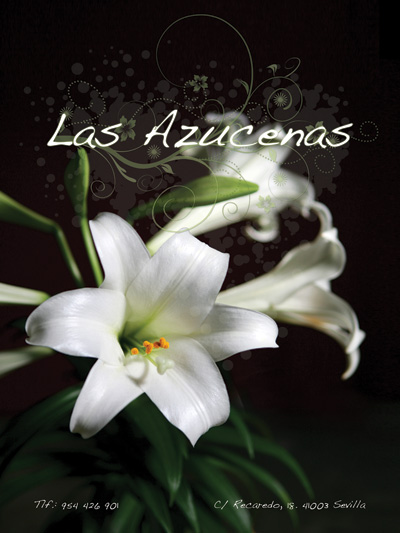 Angel Ocampo: Azucena