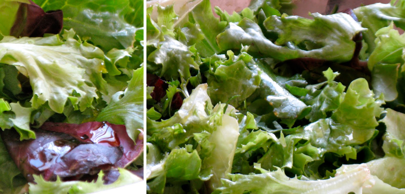 The Cilantropist: Easy Everyday Salad