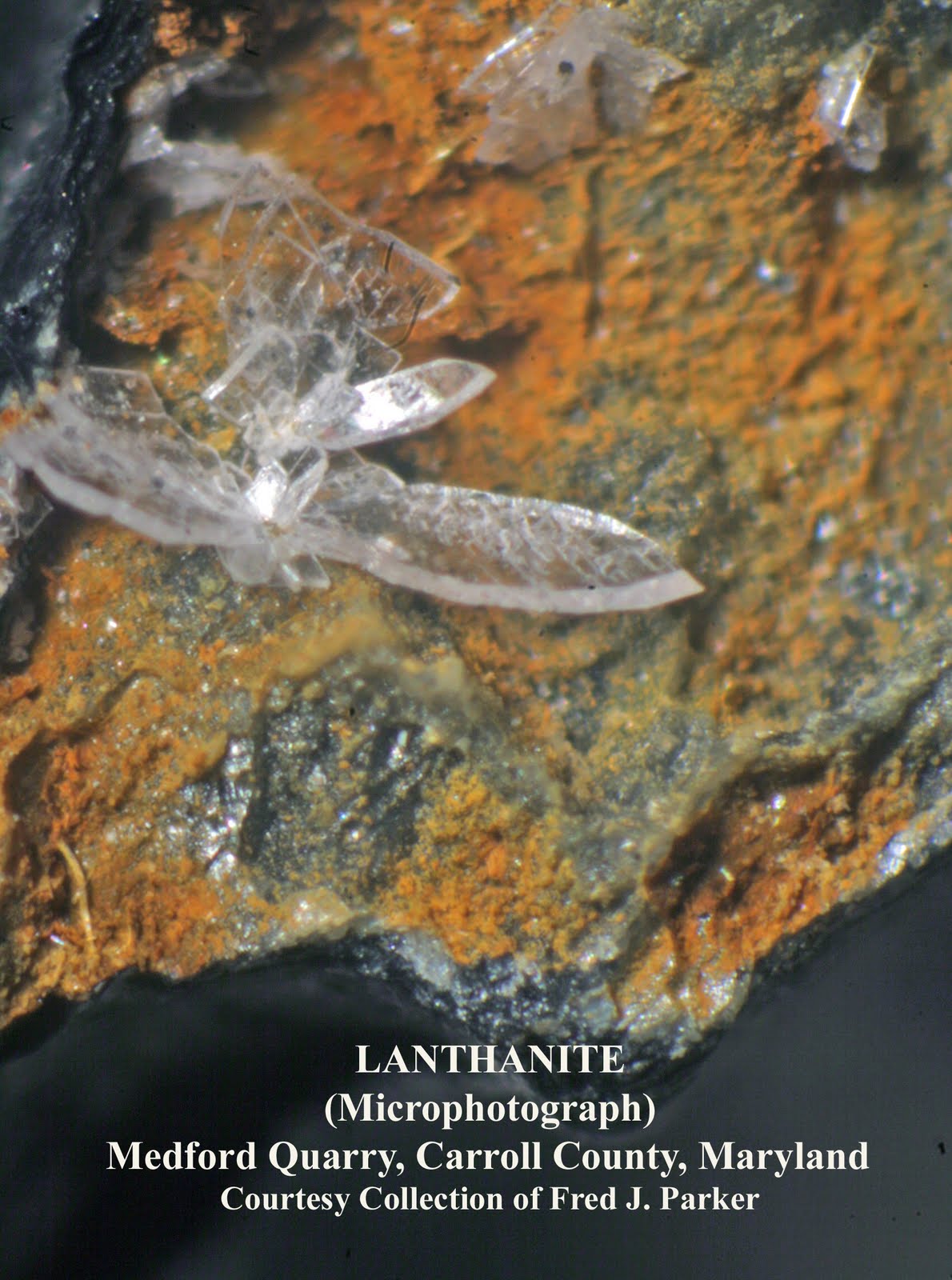 Mineral Bliss: Some Dazzling Maryland Microminerals