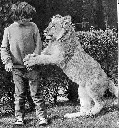 Princess' Diary: A Lion Called Christian - A True Story