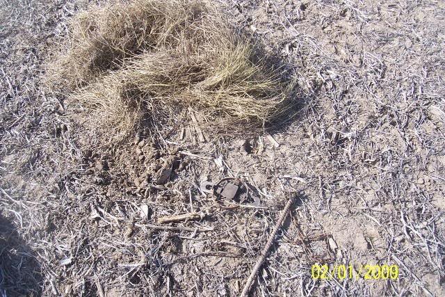 Trapping Supplies Review: The Hay Set