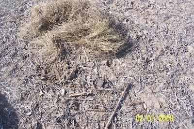 Trapping Supplies Review: The Hay Set