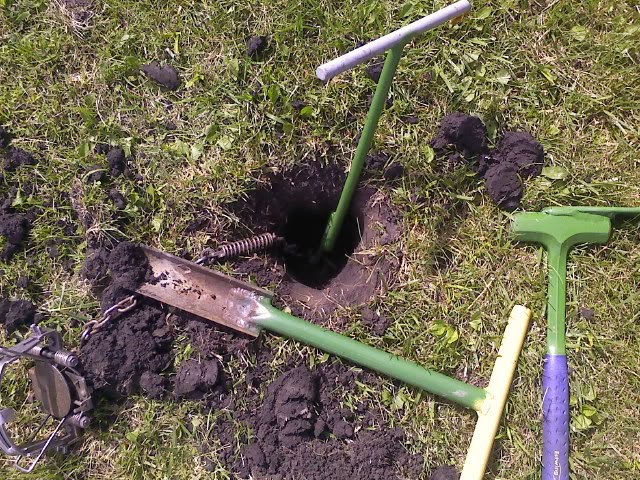 Trapping Supplies Review: An Effective Staking System