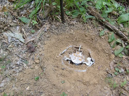 Trapping Supplies Review: Flat Sets