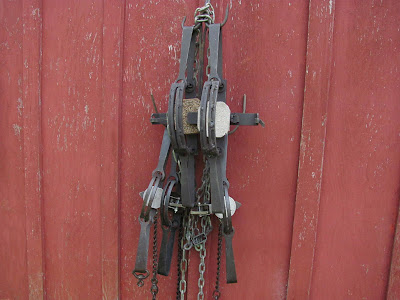 Trapping Supplies Review: Predator Set with a Double Longspring Trap