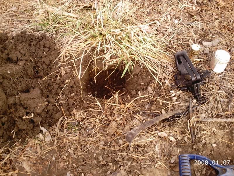 Trapping Supplies Review: Flashy Dirt Hole Set for Bobcat