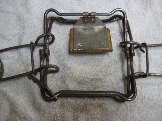 Trapping Supplies Review: Conibear Pans