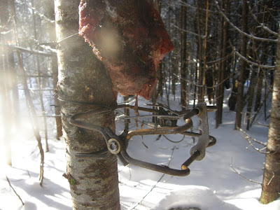 Trapping Supplies Review: Conibear Sets for Marten