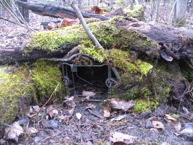 Trapping Supplies Review: The Cubby Set