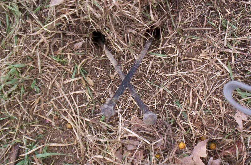 Trapping Supplies Review: Double-hole Trap Set for Fox