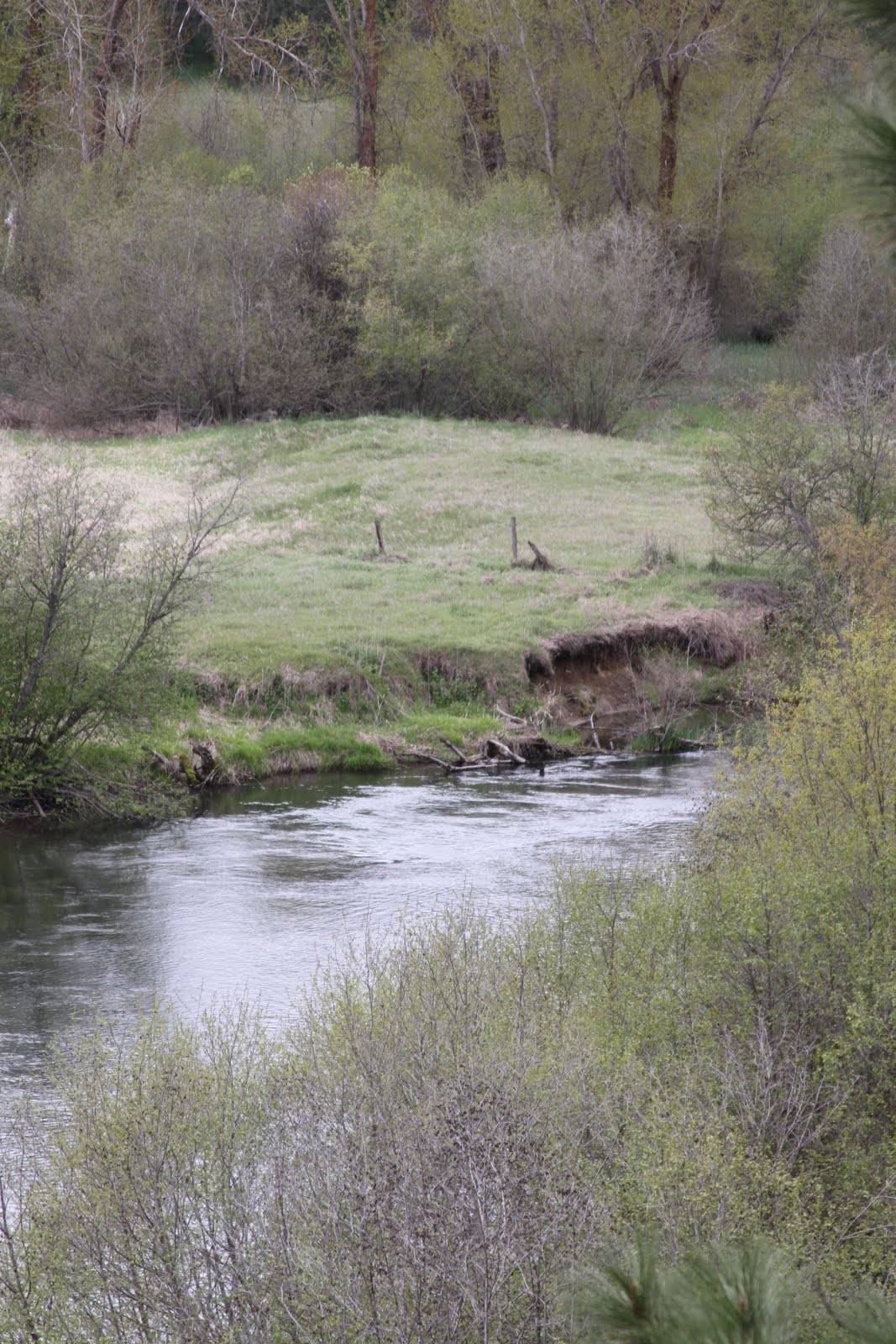 Pinkfrog Photography: Little Spokane River Natural Area