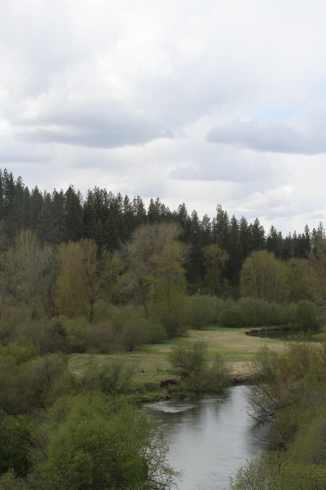 Pinkfrog Photography: Little Spokane River Natural Area
