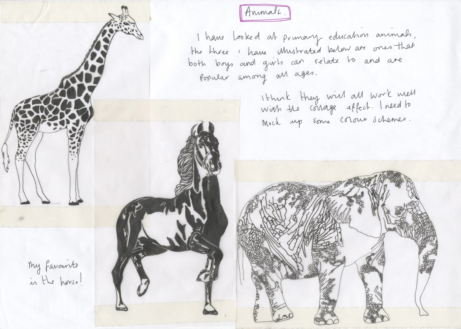 Design Practice: Animals