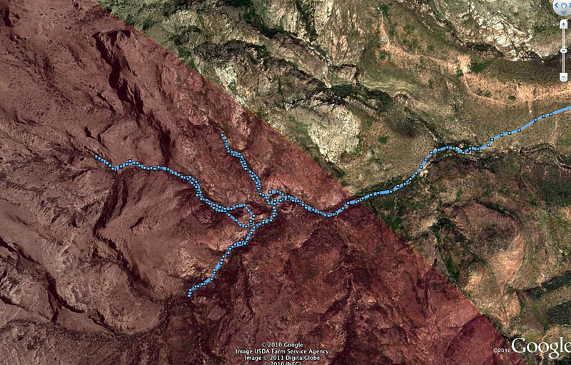 Birdernaturalist: Rock Corral Canyon – A Subtropical Surprise in SE Arizona