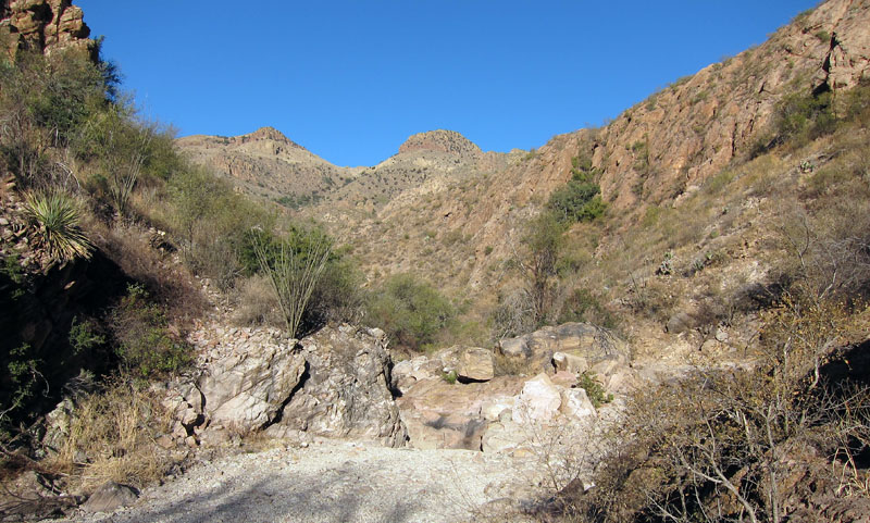 Birdernaturalist: Rock Corral Canyon – A Subtropical Surprise in SE Arizona