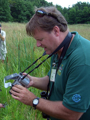 Birds from Behind : 29 March 2009